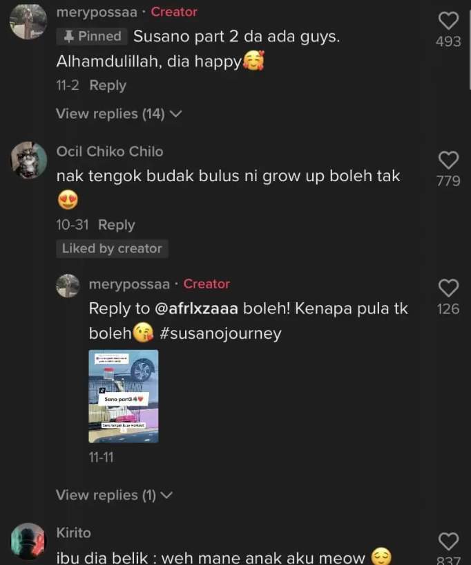 Selamatkan Anak Kucing Di Tengah Jalan. Gadis Cantik Ini Bawa Pulang Terima Pujian Netizen - I ...
